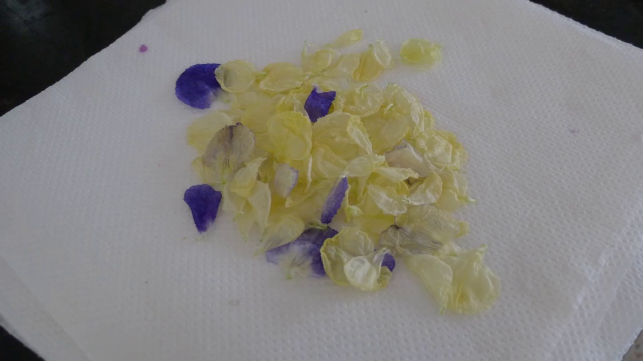 making sweet pea confetti - YouTube