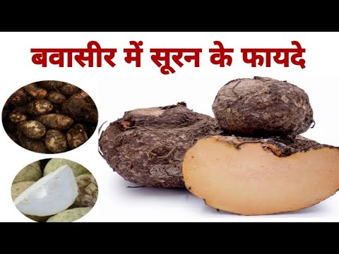 बवासीर में सूरन के फायदे- Suran Benefits For Piles in Hindi🔥🔥🔥 - YouTube