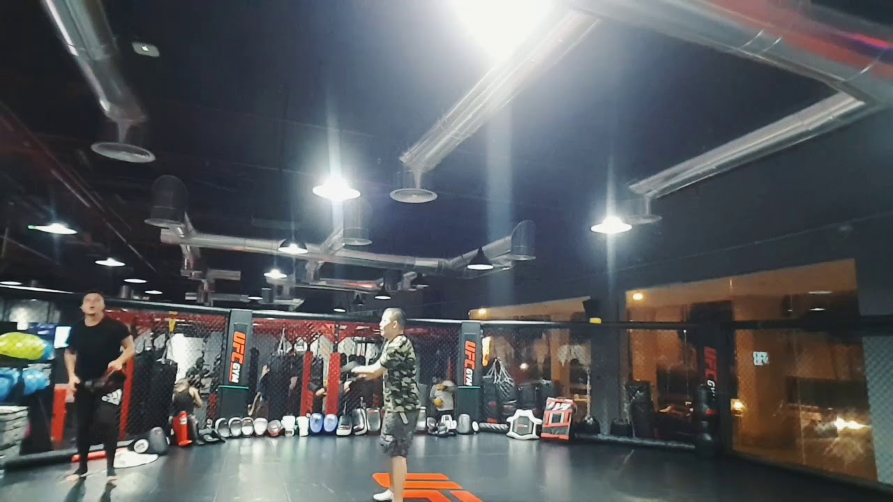 Boxing day, MMA, UFC gym. Dubai - YouTube