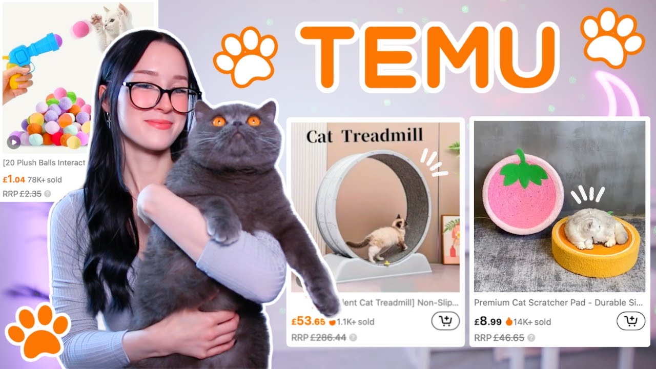 TESTING WEIRD CAT GADGETS FROM TEMU... - YouTube