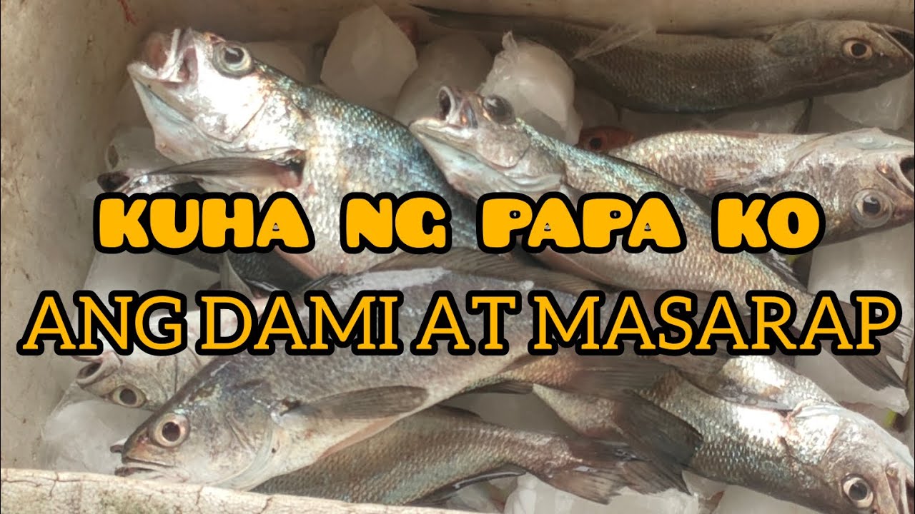 MADAMING NAHUHULING MASASARAP NA ISDA - YouTube