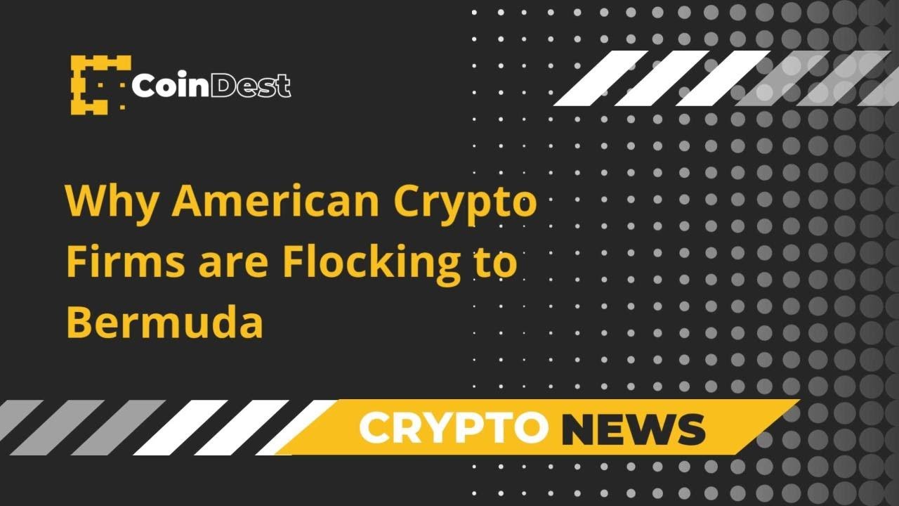 Why American Crypto Firms are Flocking to Bermuda? - YouTube