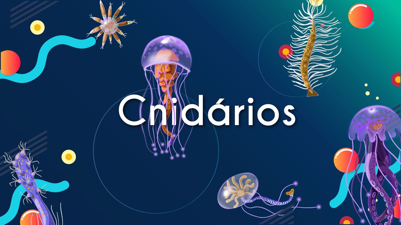 Exerccios Sobre Reinos Do Mundo Vivo Brasil Escola