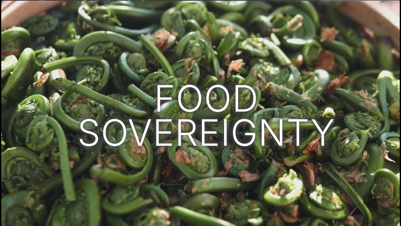 Mi'kmaw History Month 2024 - Food Sovereignty Chelsey Purdy - YouTube