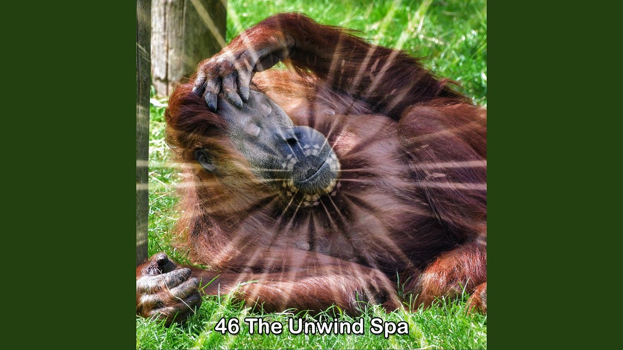 Give Into Your Lethargy - YouTube