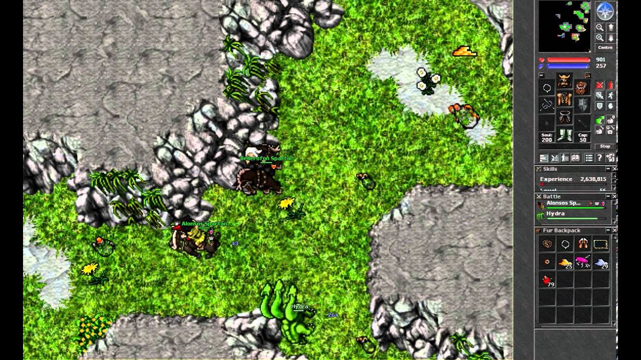 hydra hunt by 56 ek and 53 rp Tibia - YouTube