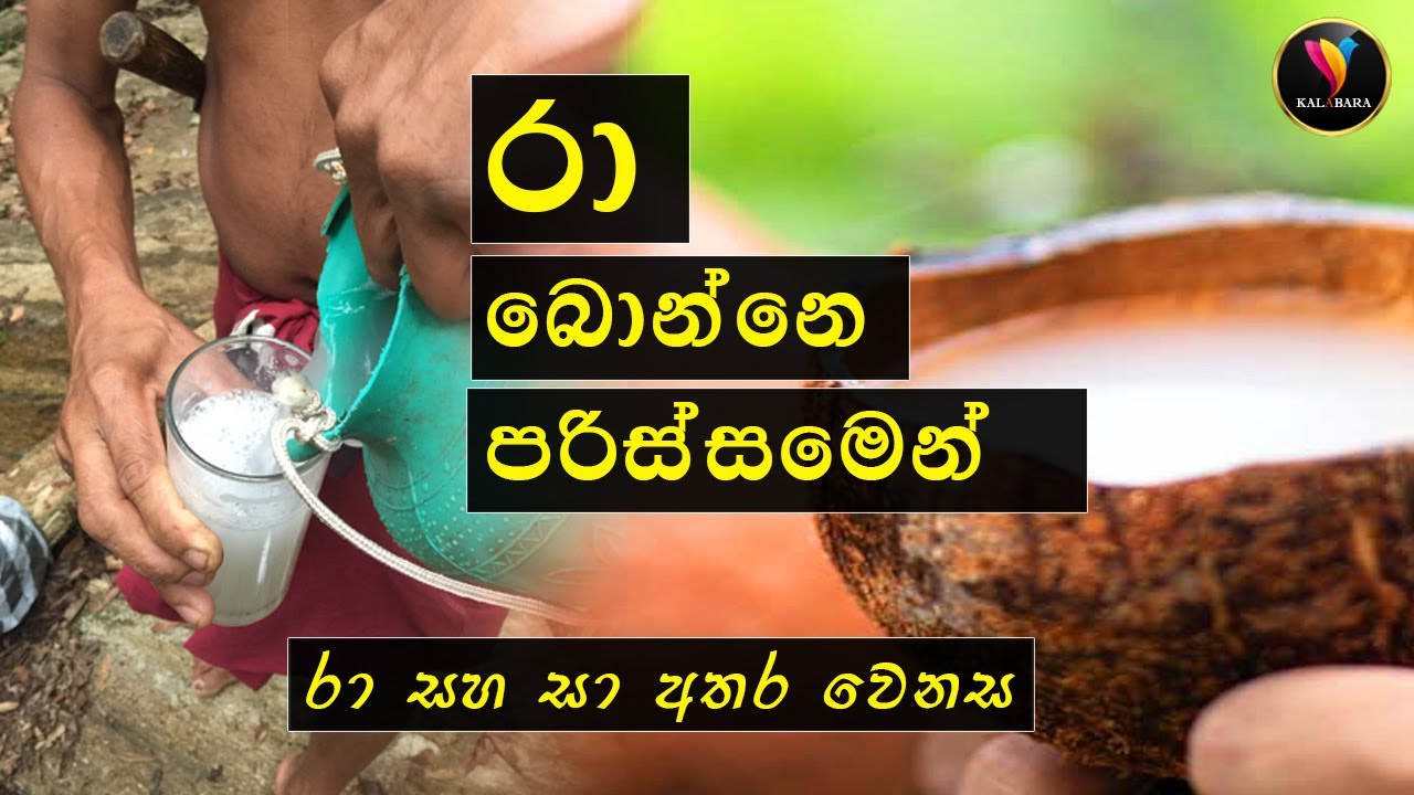 SRI LANKA TRADITIONAL LIQUEUR / kithul Raa _ රා බොන්නේ පරිස්සමෙන් - YouTube