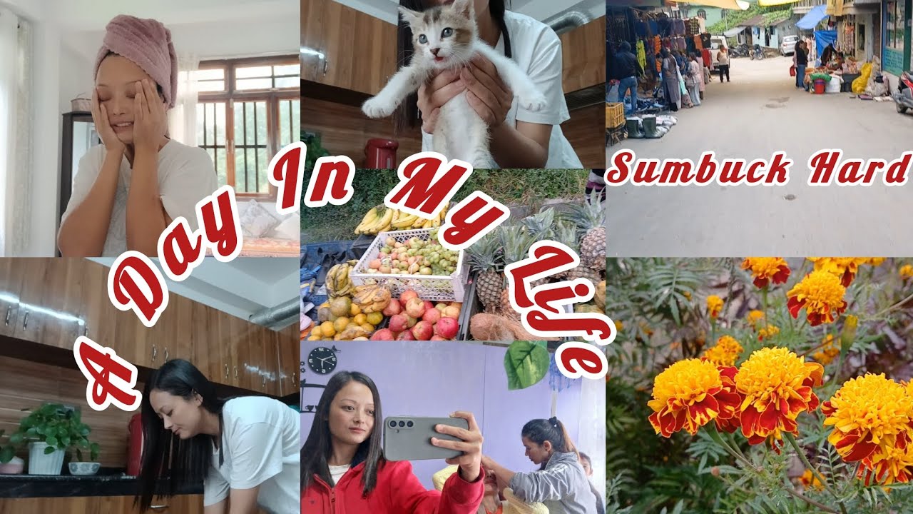 A Day In My Life 😊 But Suddenly I Have To Go Sumbuck Hatt With My Chema ...