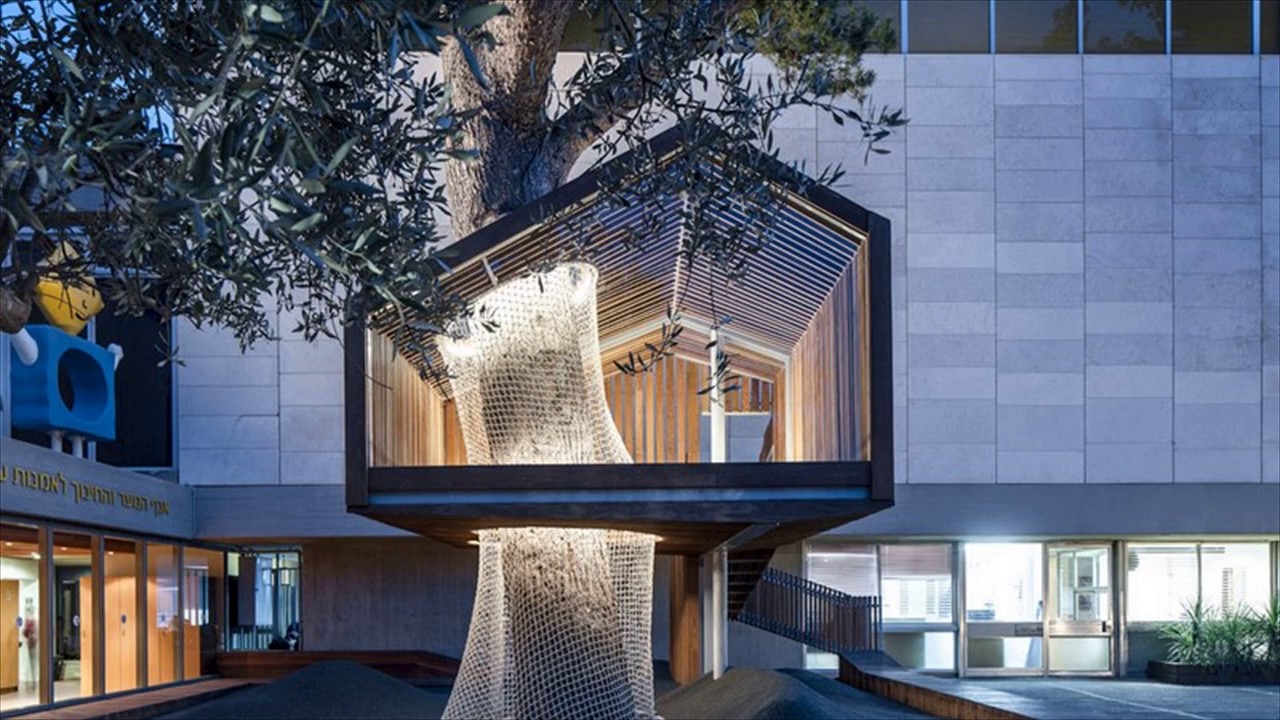 Glass House Built Around Tree - YouTube