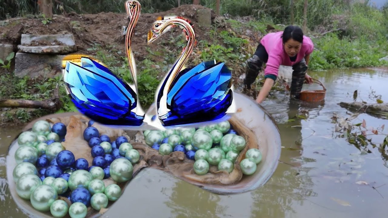 🔮🔮 Terrifying deep pool giant black clam, super large emerald pearl ...