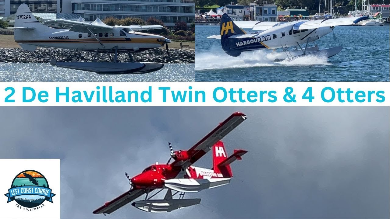 Classic Otters Meet Modern Magic! Twin Otter & Otters Take Off and Land ...
