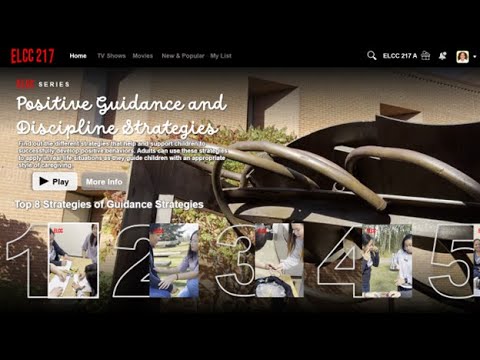 Positive Guidance and Discipline Strategies in Early Learning and Child ...