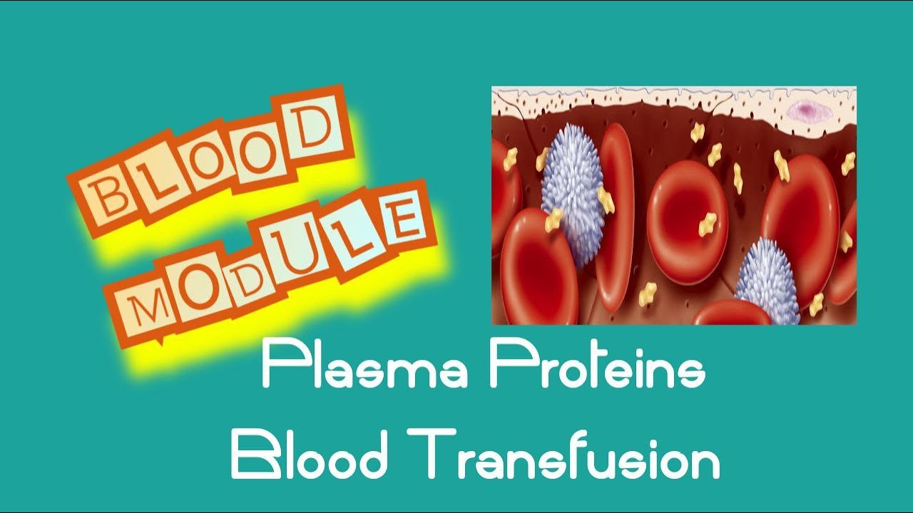 Blood | Physiology | Plasma Proteins & blood transfusion - YouTube