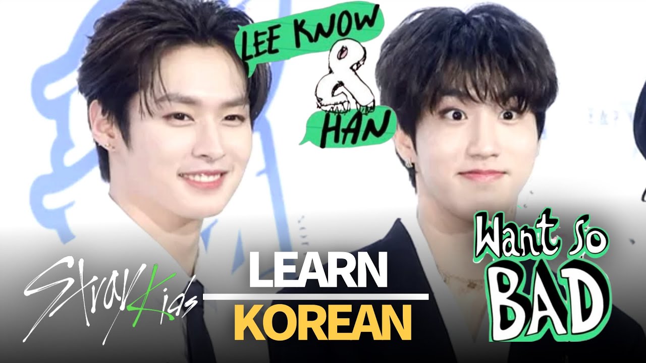 Learn Korean with SKZ LEE KNOW & HAN - Want So Bad PART2 in 8 minutes ...
