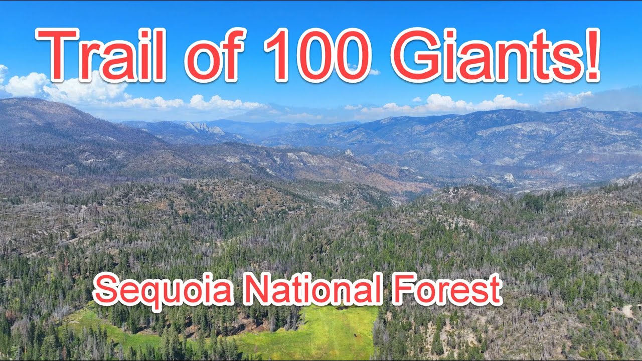 Trail of 100 Giants - Sequoia National Forest - YouTube