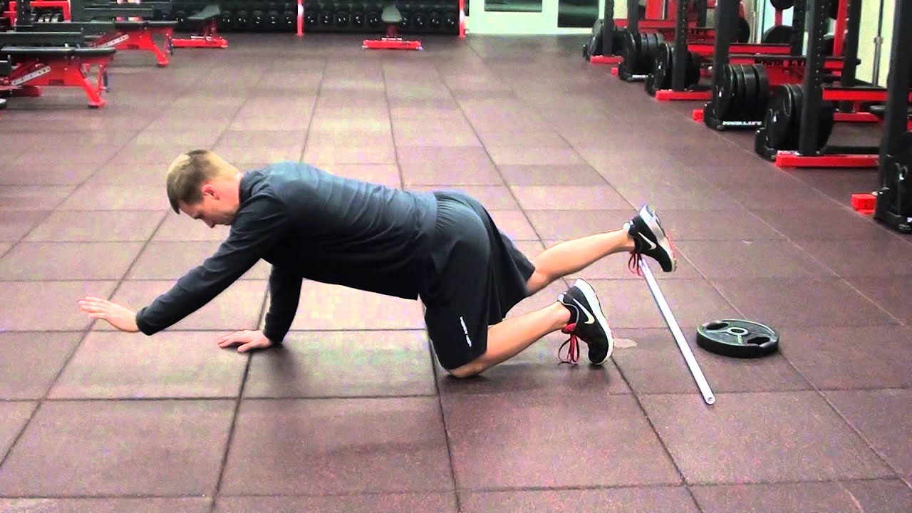 Quadruped Arm Leg Lift - YouTube