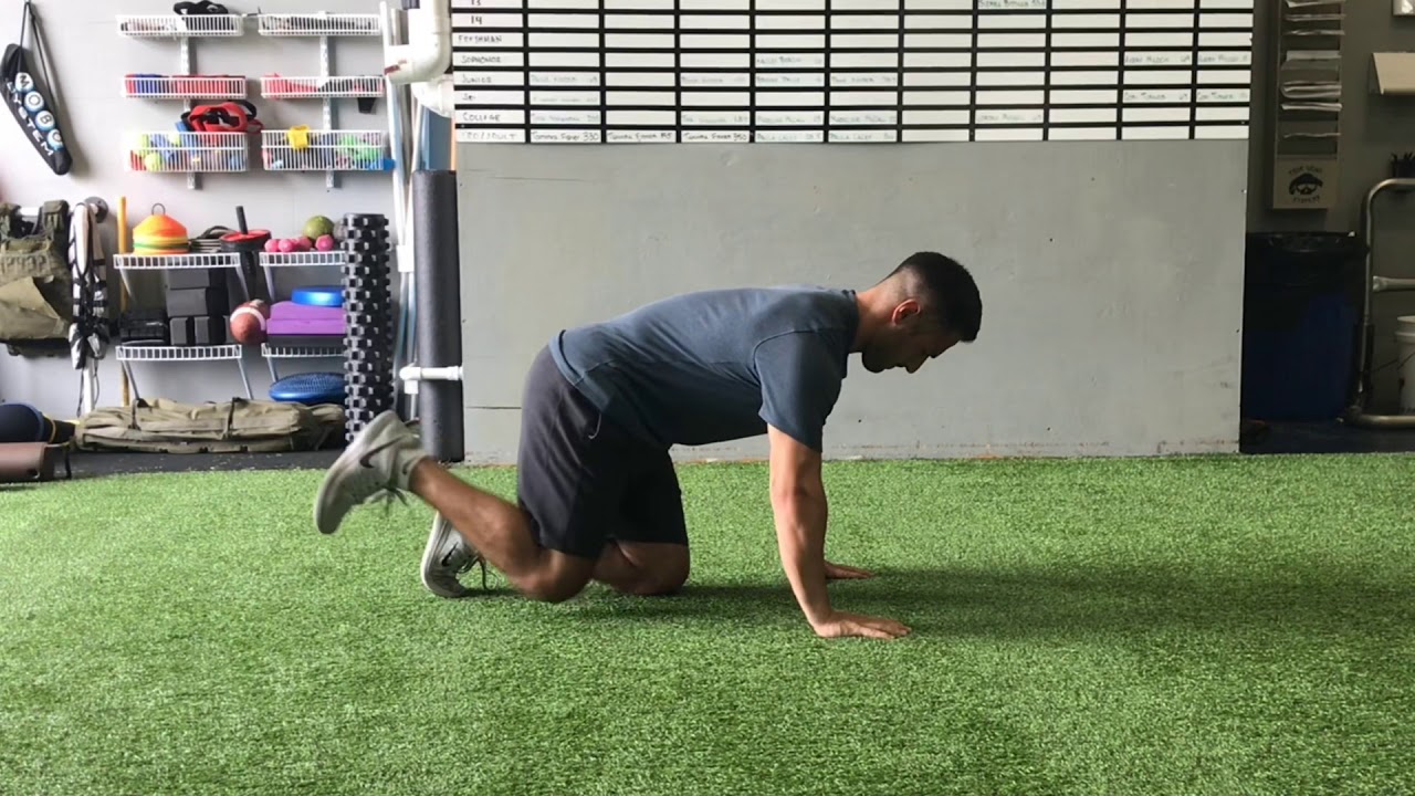 Quadruped Hip Circles (Forward & Backward) - YouTube