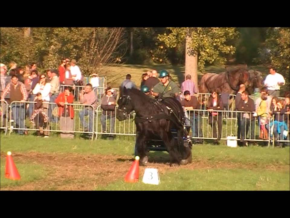 DKT - Luc Thijs - Vollezele - 16102011 - vaardigheid 2 - YouTube