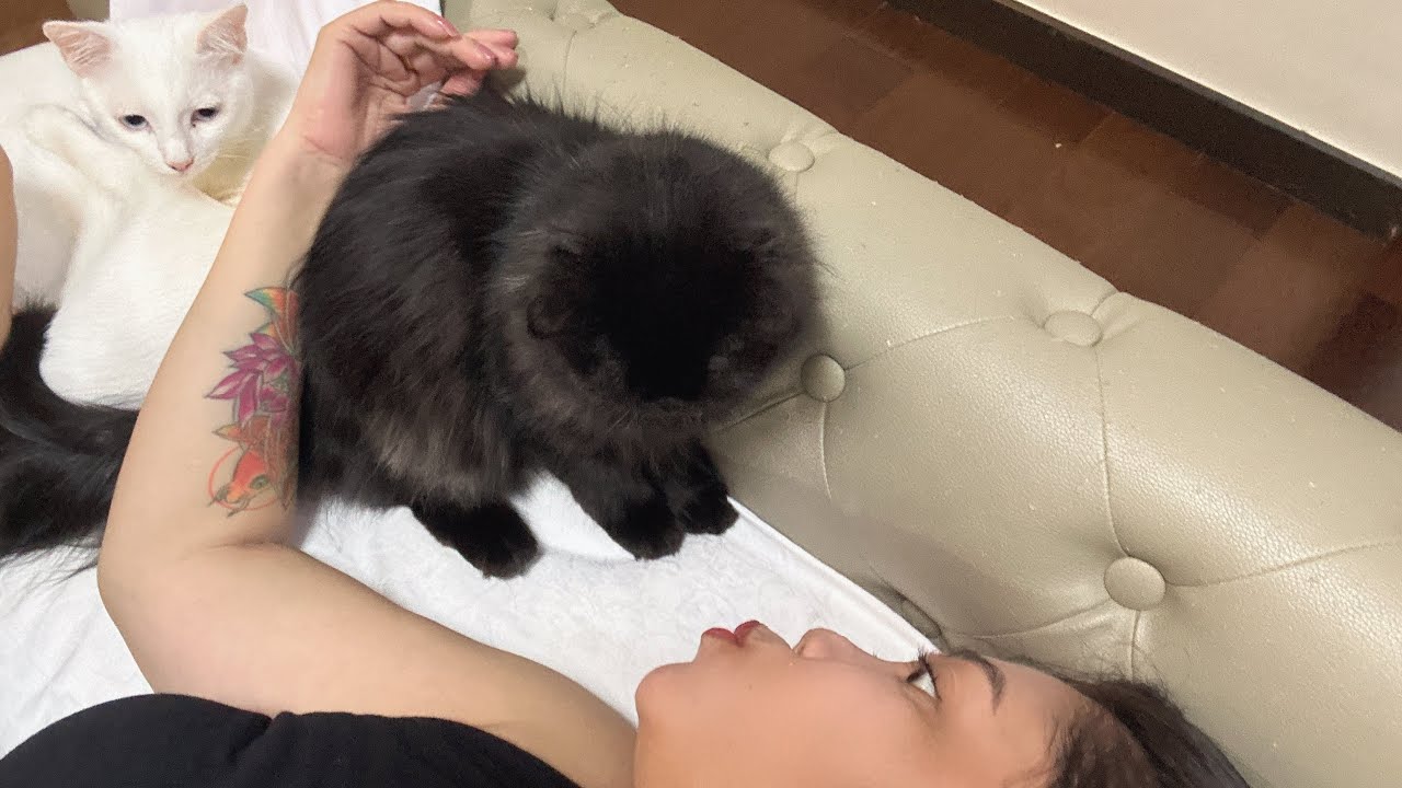 Good buntag from planet nemic - YouTube