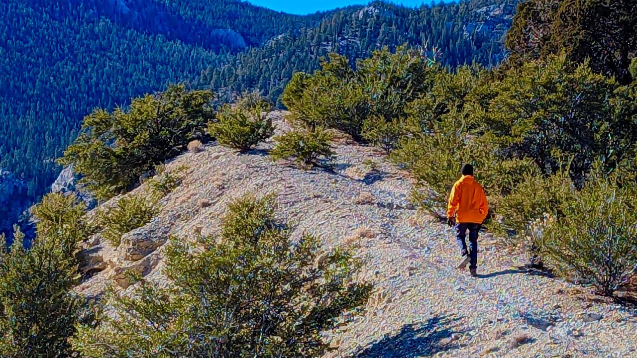 The North Loop Trail at Mt. Charleston - YouTube