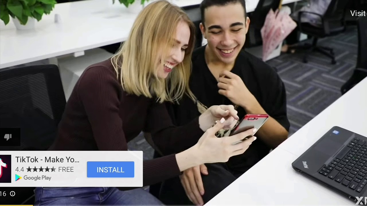 Try not to laugh #1 berd - YouTube