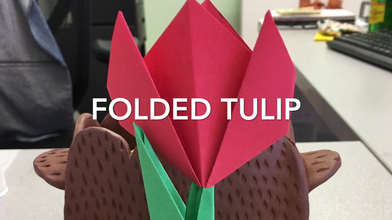 KAFCC: Friday Fold'em Folded Tulip - YouTube