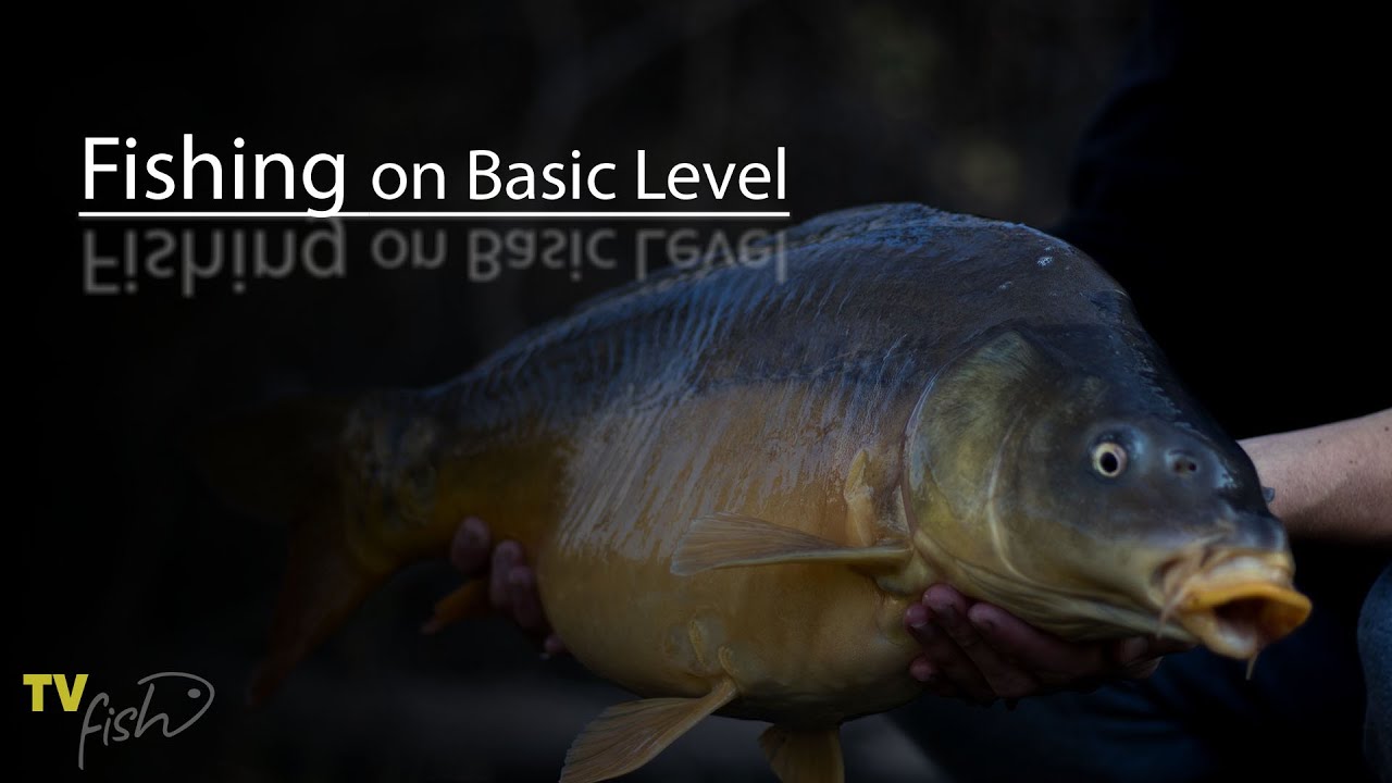 Říjnová řeka po povodních | Fishing on Basic Level - YouTube