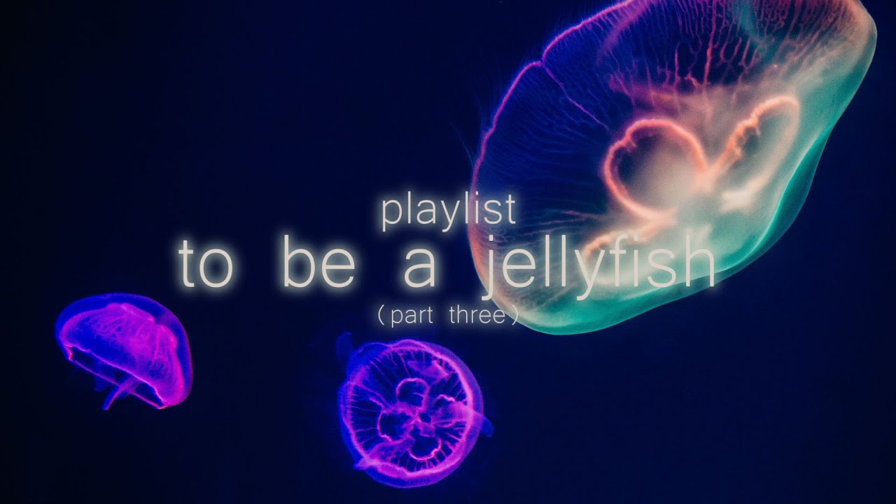 playlist to be a jellyfish | part 3!!! - YouTube