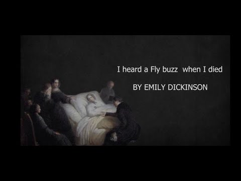 I heard a fly buzz by Emily Dickinson l سمعت ذبابة طنت.. ترجمة إبداعية ...