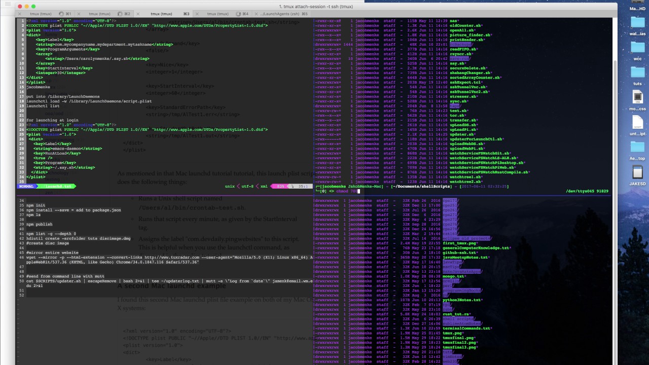 Mac Scheduling Executable with LaunchCtl - YouTube