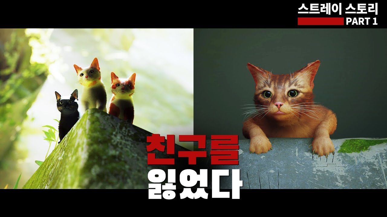 스트레이 게임 스토리 파트 1(Stray Story Part 1) - YouTube