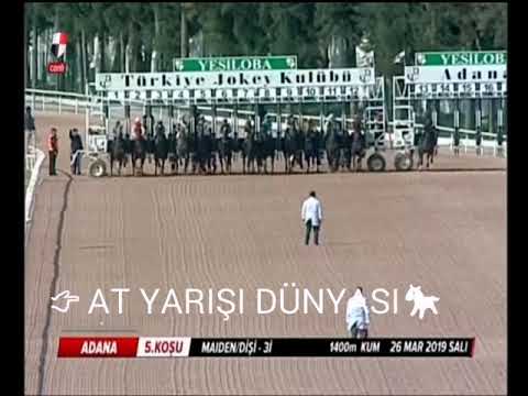 KASALINA     MAIDEN-3İ         26/03/2019      ADANA