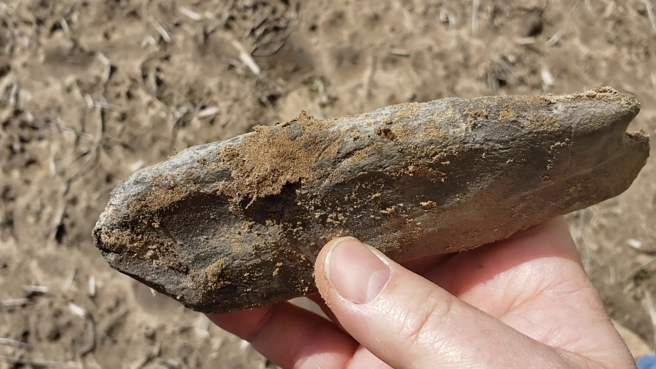 Taking a walk at Marcies part 5 Slate Celt found! 4-5-2020 - YouTube