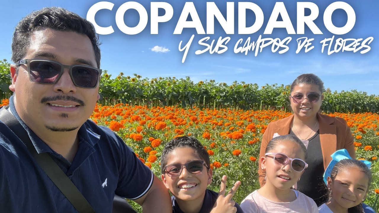 Visitamos los hermosos campos de flores en Copándaro Michoacán, SE ...