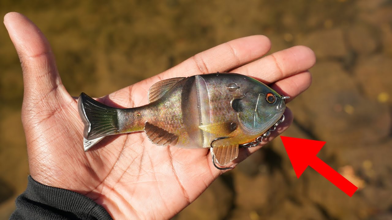 This Japanese Soft Bluegill Glide Bait Is A Game Changer! - YouTube