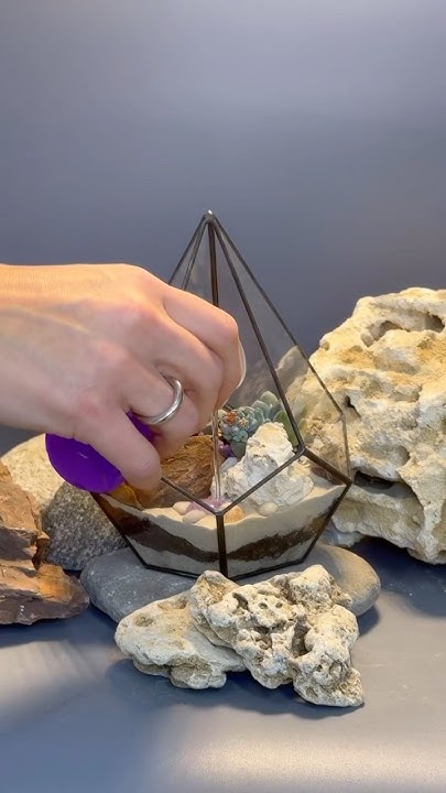 Мастер классы, флорариумы, комнатные растения Florarium-flo.ru - YouTube