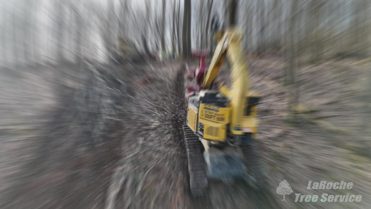 Steep Slope Logging Demonstration in West Virginia - YouTube