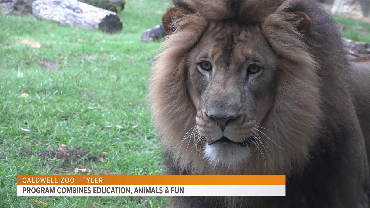Caldwell Zoo Home School Program Combines Education, Animals, and Fun ...