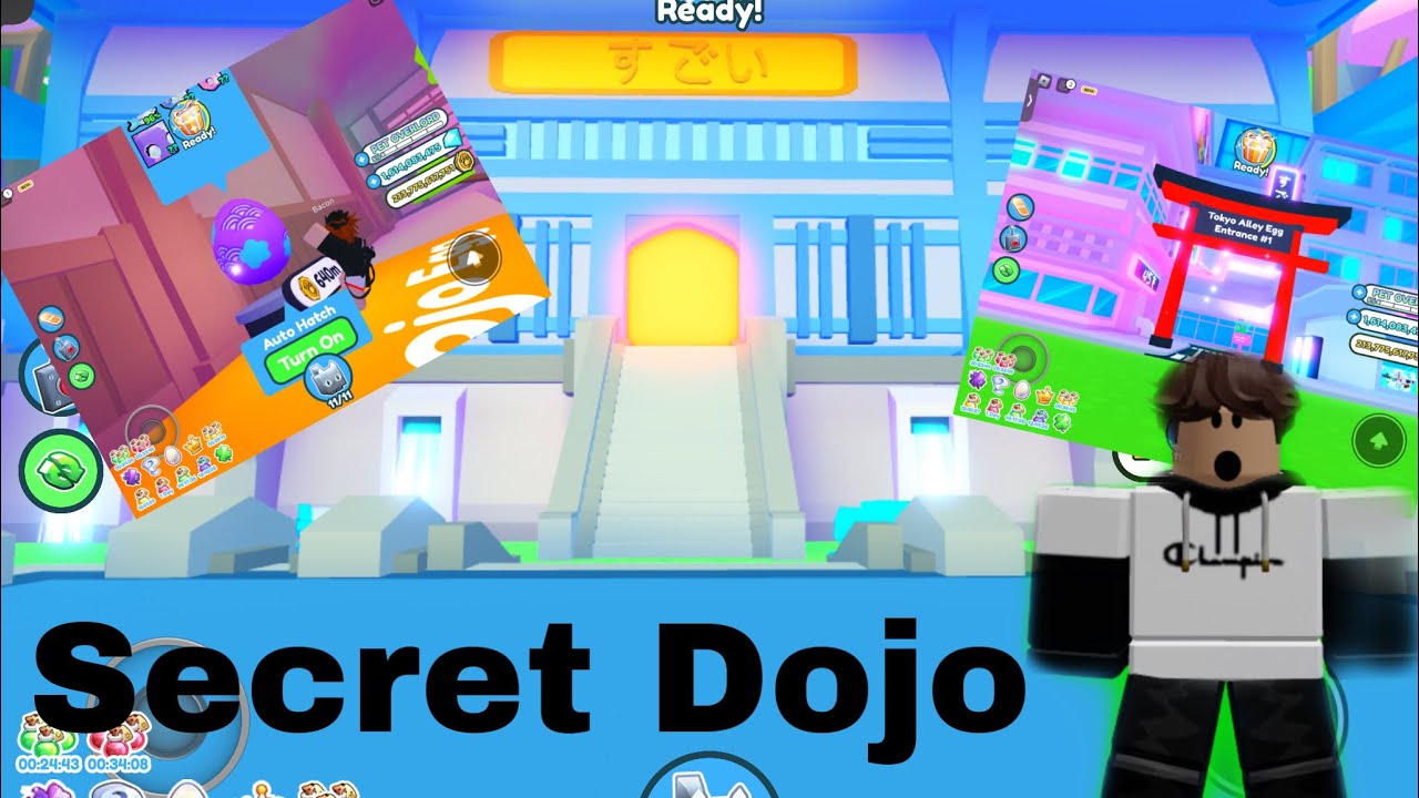 New secret Dojo and egg in Roblox Pet simulator x - YouTube