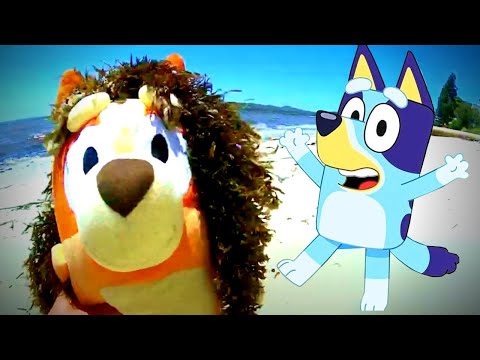 Bluey's Top 10 Summer Holiday Countdown! - YouTube