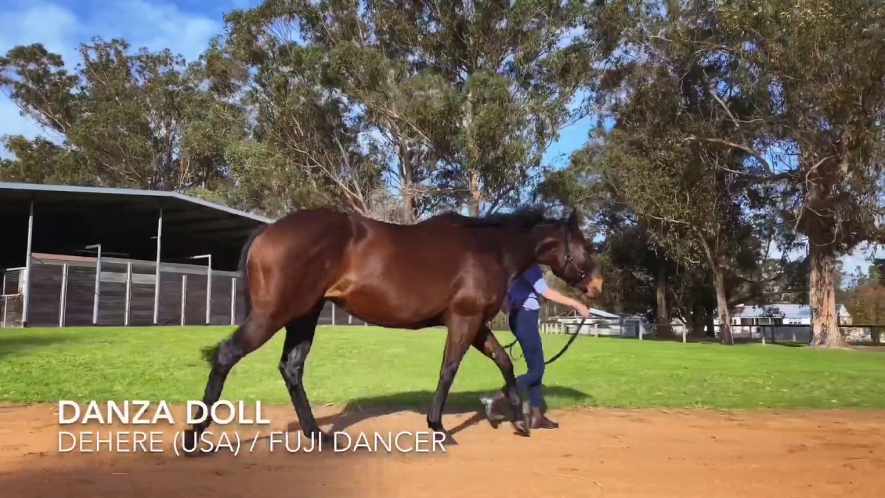 Danza Doll - Dehere (USA) / Fuji Dancer - YouTube