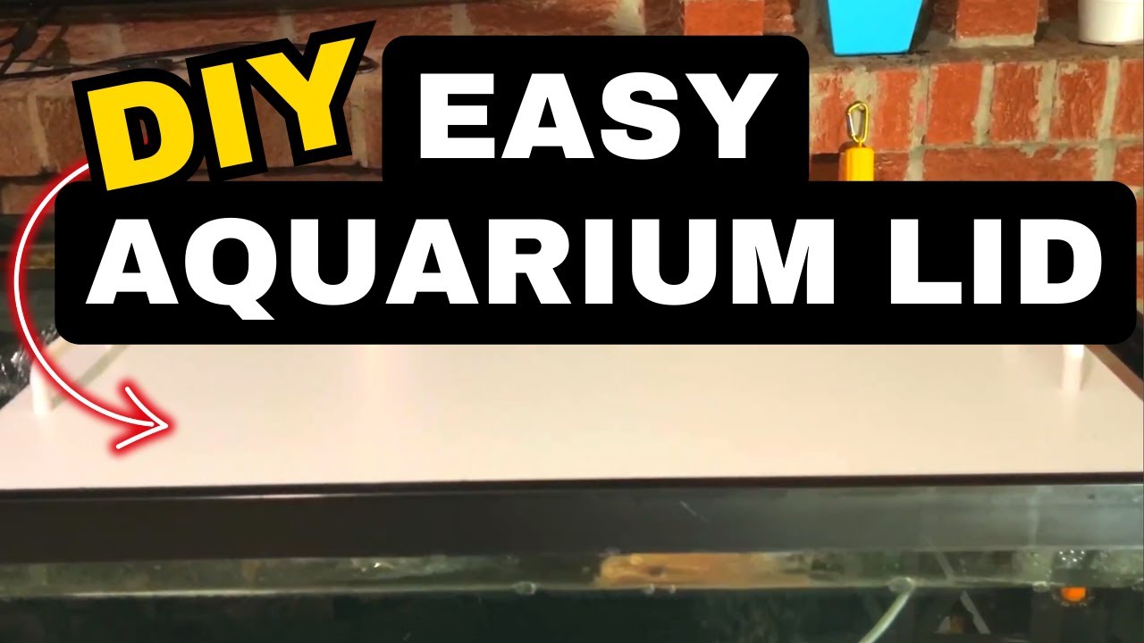BEST DIY Aquarium Lid On YouTube - YouTube