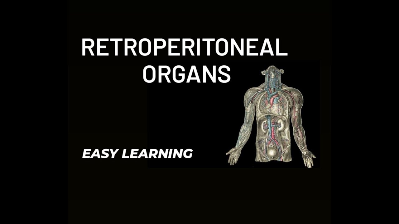 RETROPERITONEAL ORGANS | SEROUS MEMBRANE | ANATOMY & PHYSIOLOGY | TRICK ...