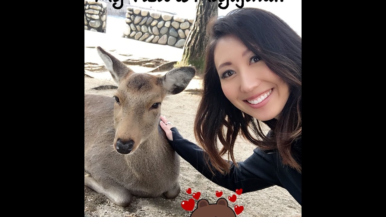 Miyajima : Itsukushima Island Part 1 with Kali Chung - YouTube