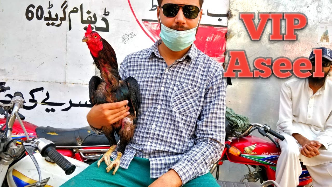 ||Aseel VIP||Sunday aseel market lahore vlog||Aj market mai bht rush ...