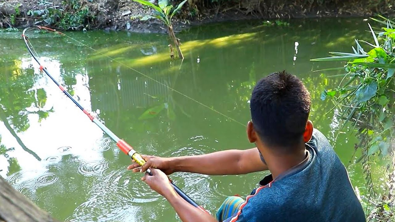 Big Fish Catching Using by Hook in The Water Pond - YouTube