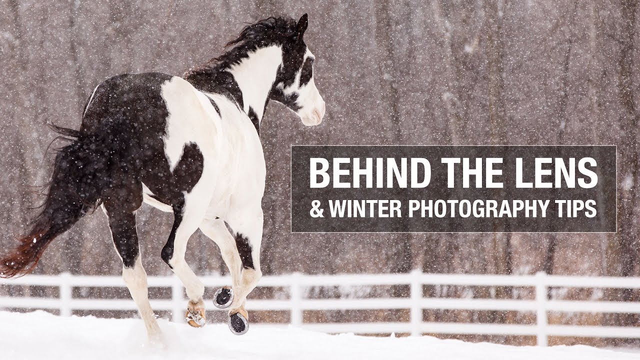 Behind the Lens - Snow Day & Winter Photography Tips - YouTube