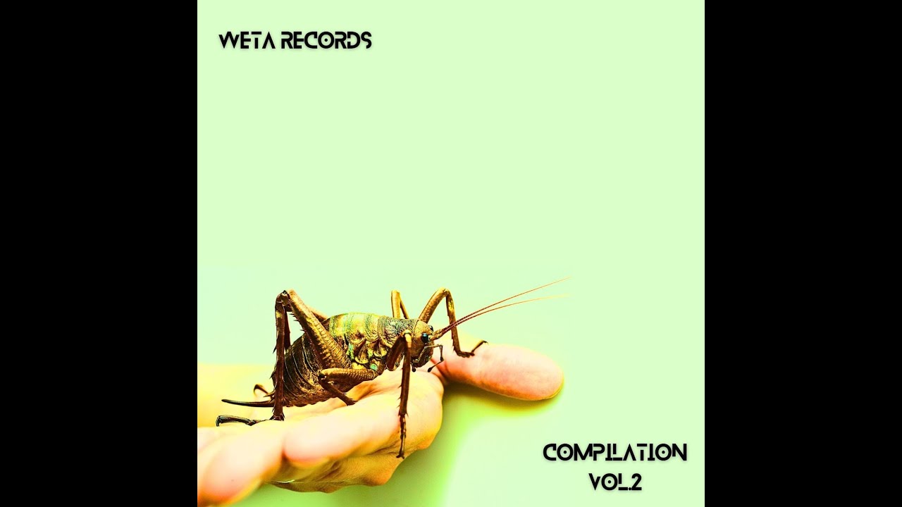 Playlist Weta #2 Feat Woogie - YouTube