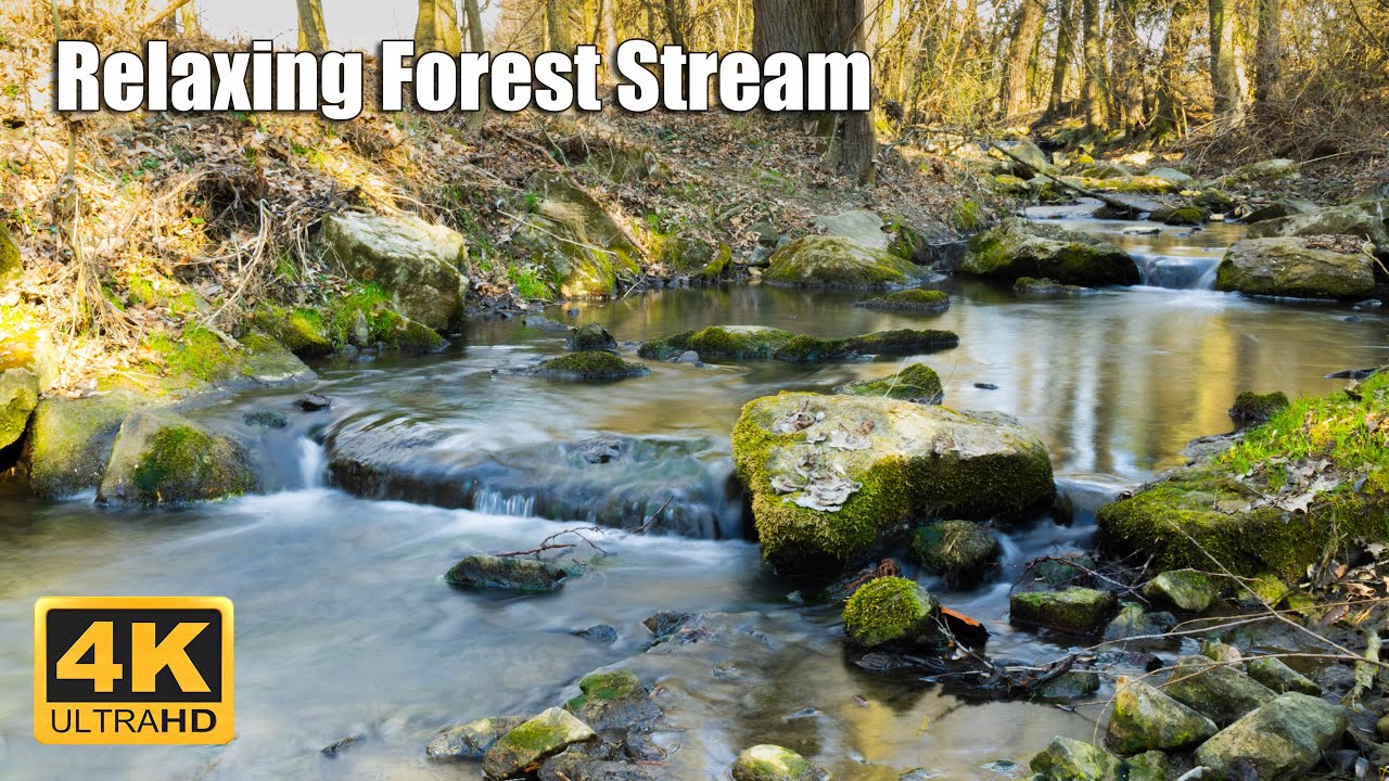 Relaxing Stream Sounds 10 Hours 🌲 4K Nature - YouTube