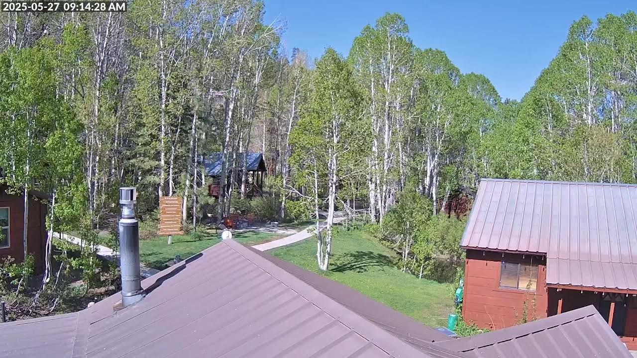 Live Leaf Cam - Desolation Hotel Hope Valley - YouTube